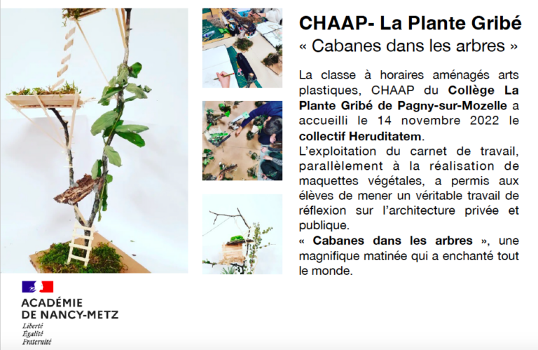 CHAAP – La plante Gribé « Cabanes dans les arbres » – Arts plastiques
