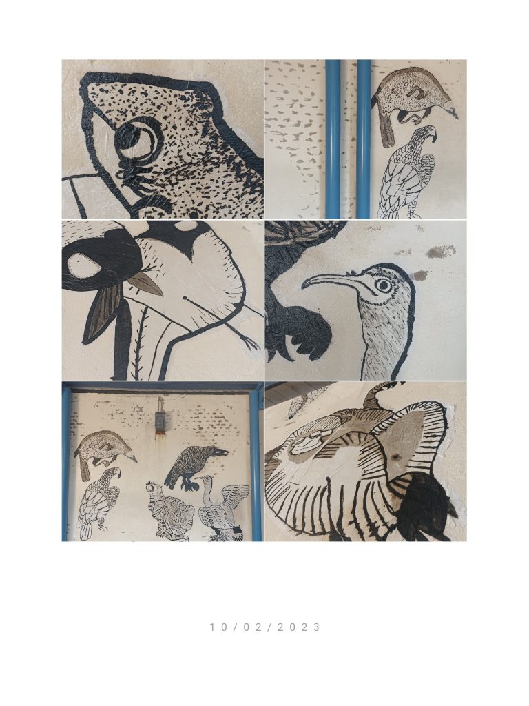 Les animaux du préau - EAC57