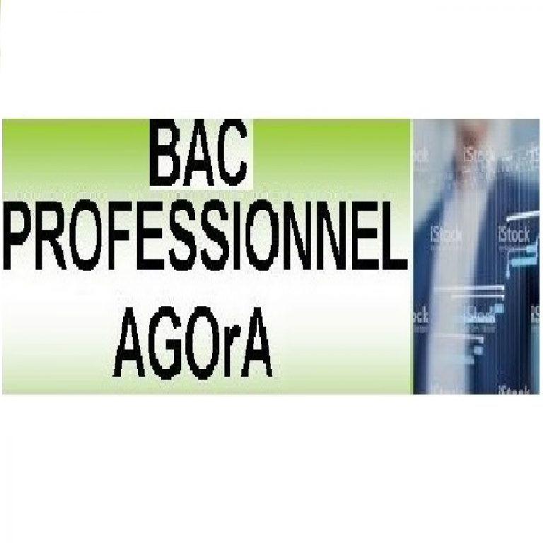 Référentiel Bac Pro AGOrA – Portail Economie Gestion en Lycée Professionnel
