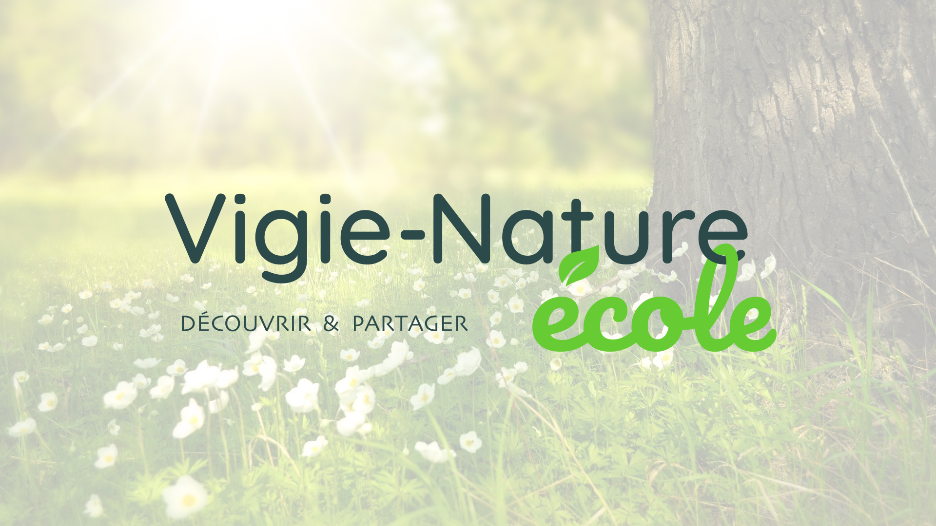 Vigie-Nature école : une ressource essentielle – EDD – Académie de ...