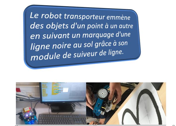 Tice 2018 nancy metz