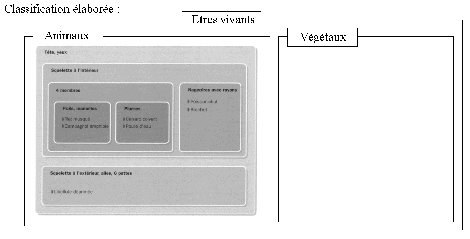 Classer le êtres vivants