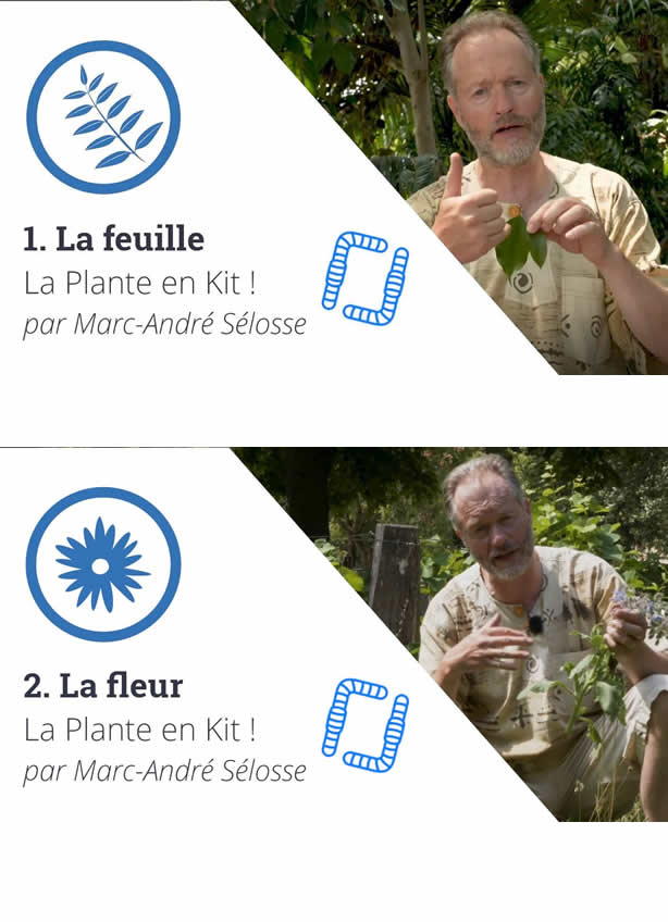 Autoformation-Site SVT LORRAINE